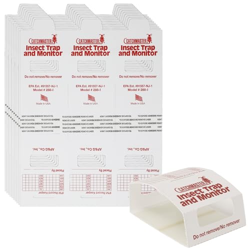 Best Spider Traps and Glue Boards
